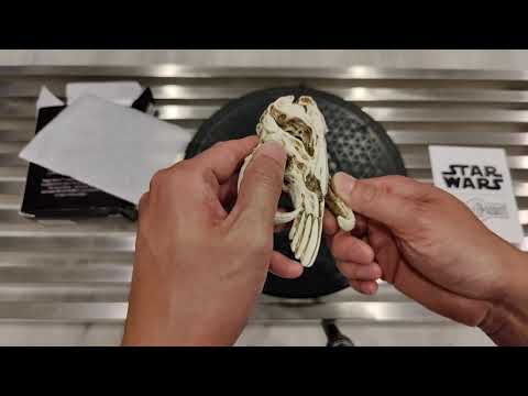 Regal Robot Mythosaur Skull Mini Sculpture Unboxing and Review!