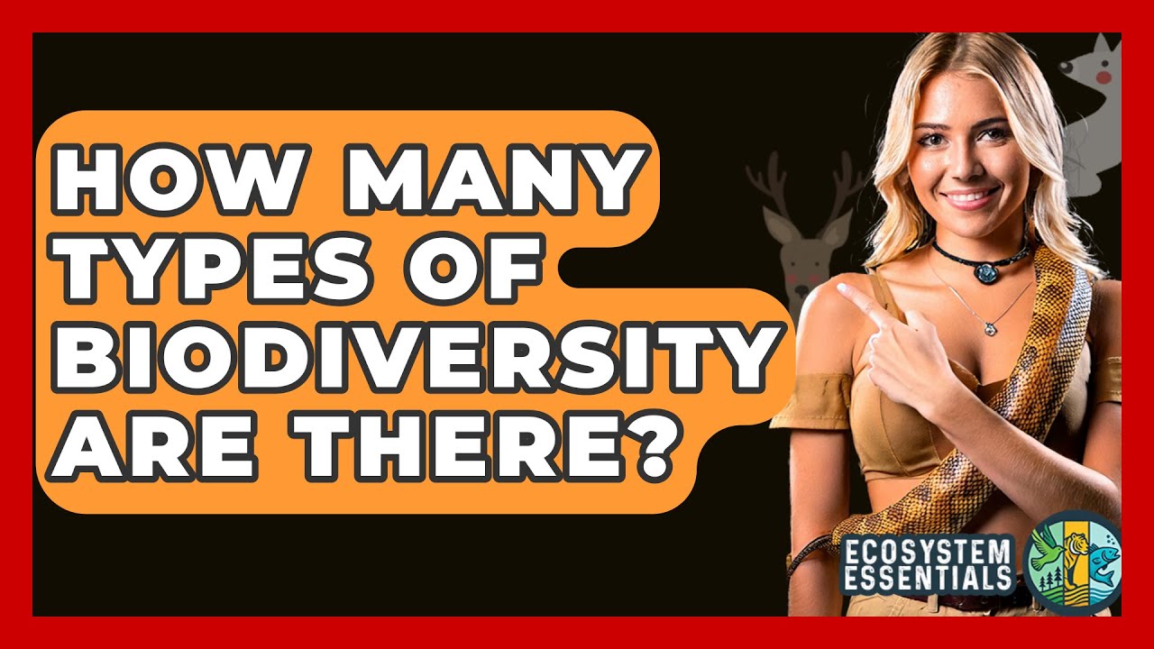 How Many Types Of Biodiversity Are There? - Ecosystem Essentials