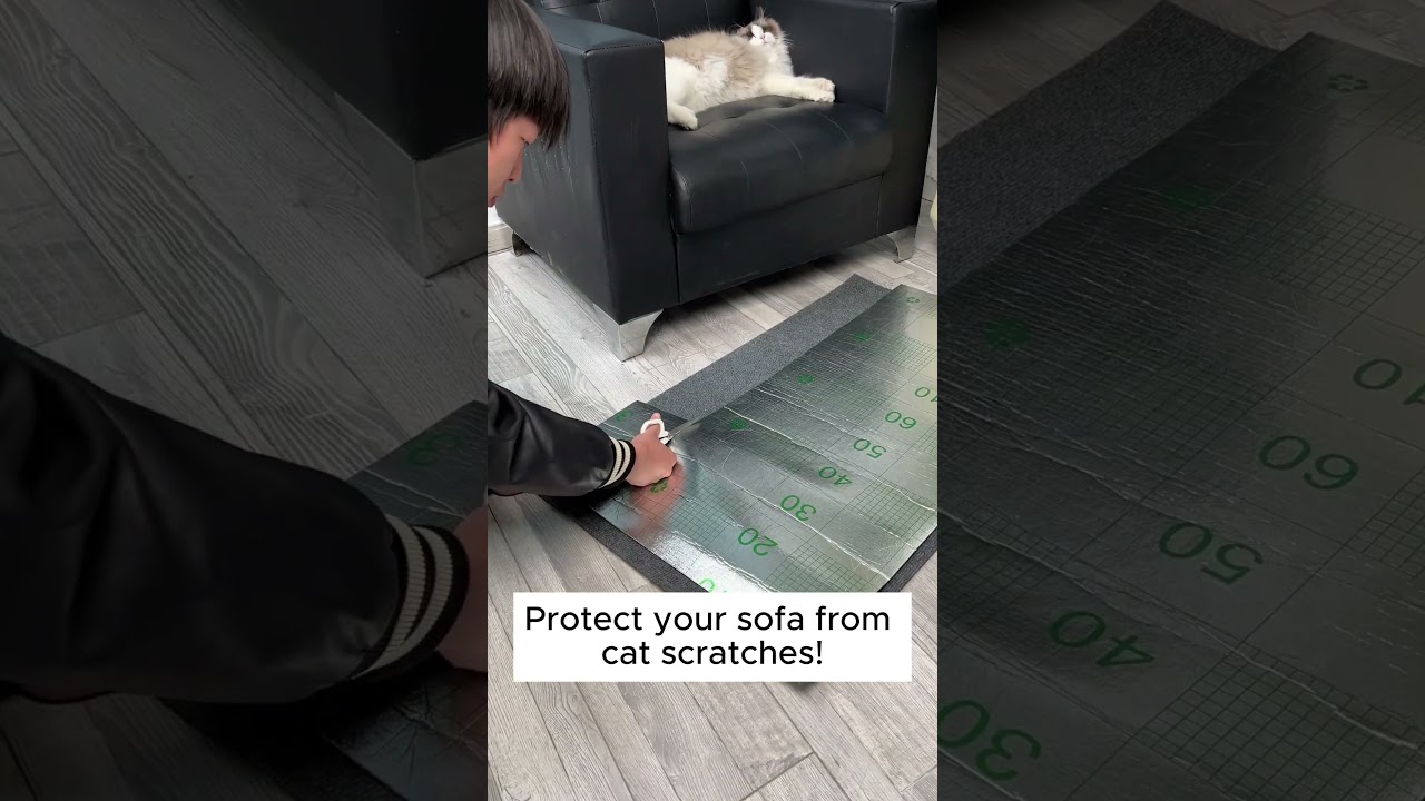 Save Your Sofa! Best Cat Scratch Protector #cat