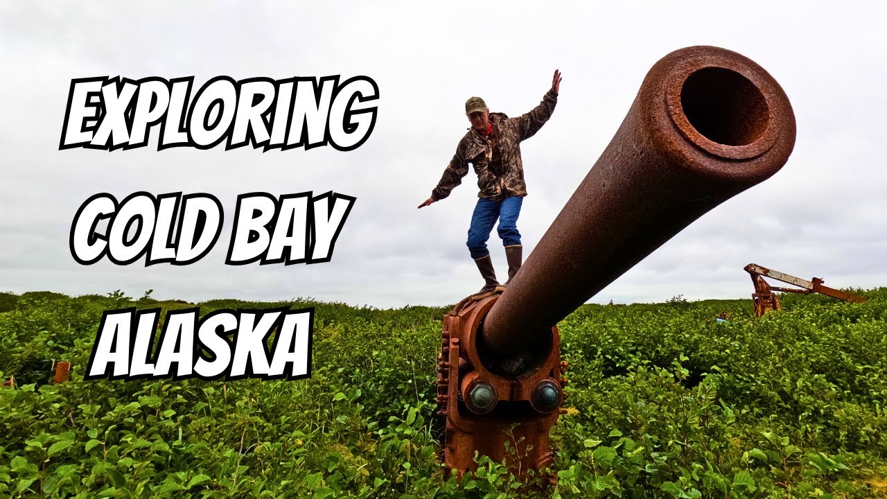 Strange Town of Cold Bay Alaska