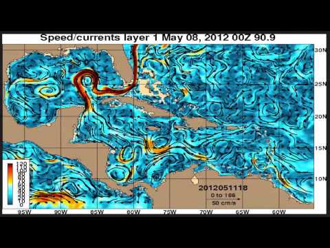 Ocean Currents Gulf of Mexico and Caribbean