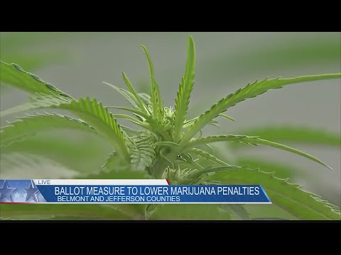 Will Ohio vote for weed ordinances