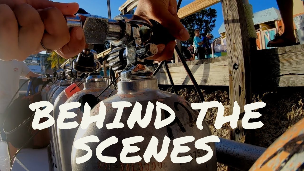 Scuba Diving Key Largo Florida | Go Reef Diving Today With Rainbow Reef A Look Behind The Scenes