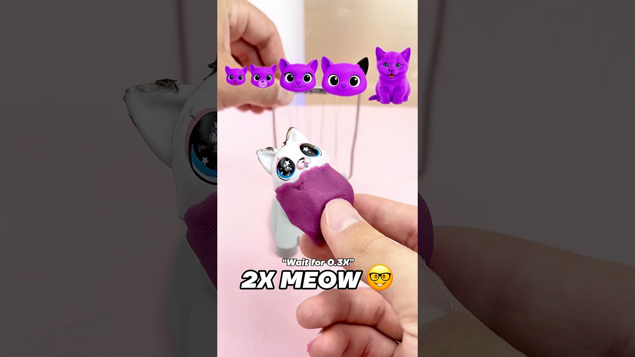 Purple Cat Evolution ☺️🥹