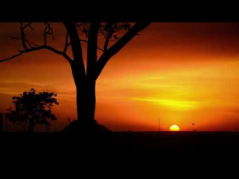 Sunset HD 1080p wallpapers | Download link included |Wallpaper for PC | Latest wallpapers 2021