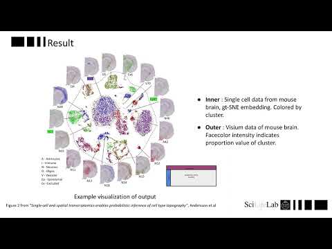 09 Celltype deconvolution overview