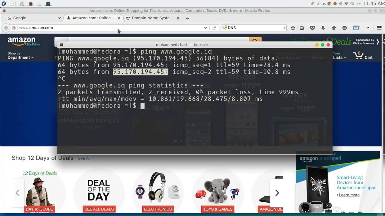 41  Python network programming DNS