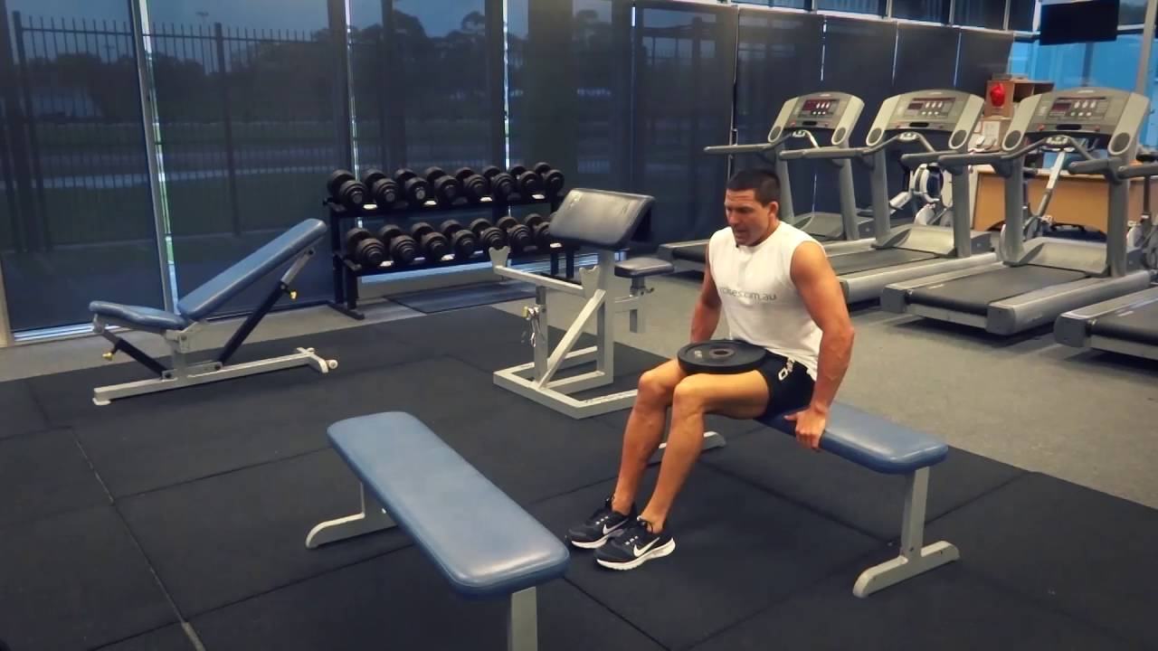 Weighted Bench Dip (Exercises.com.au)