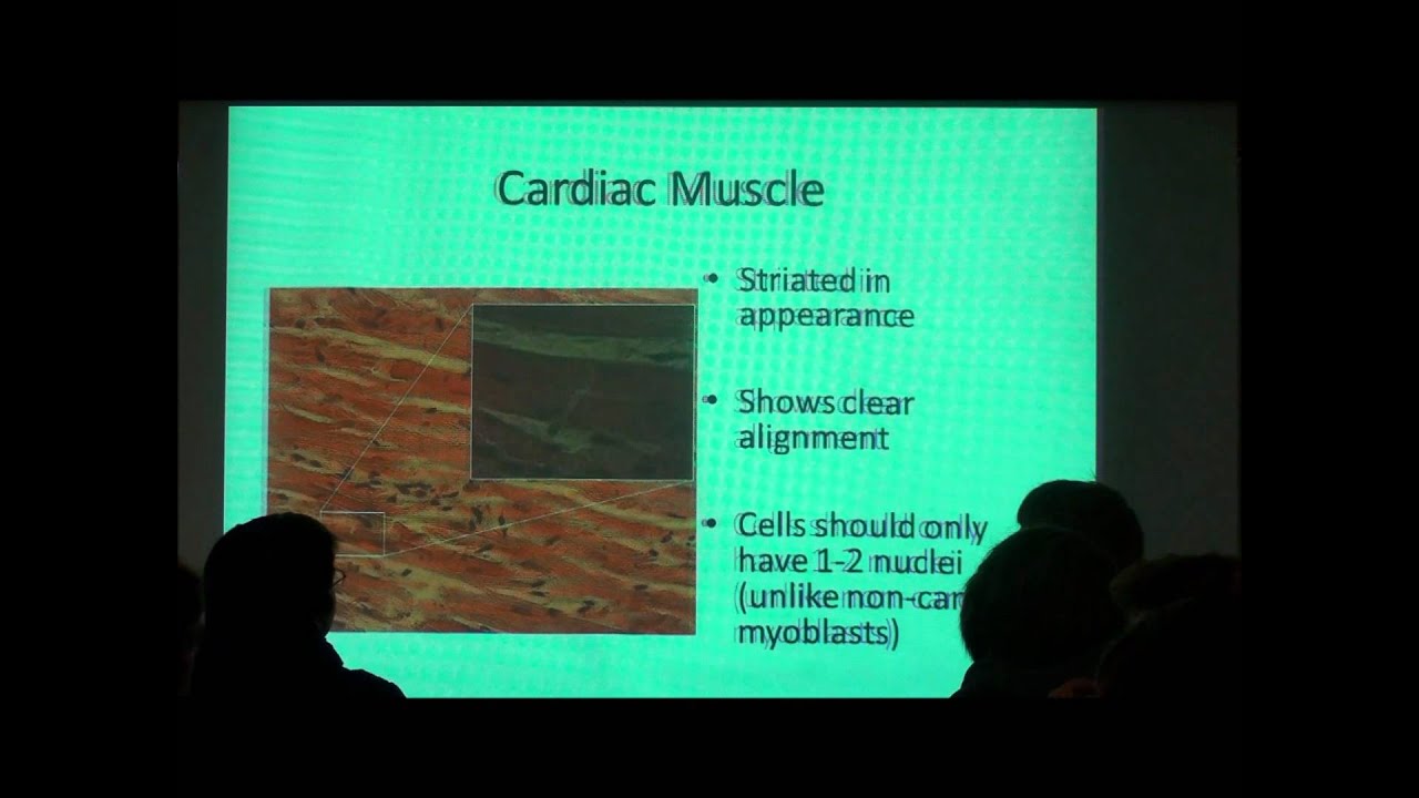 BIOE 498: Bioreactor Design