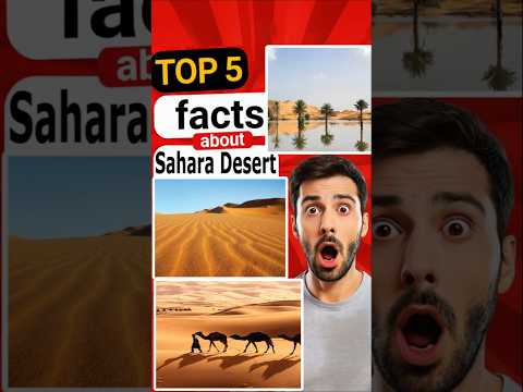 5 interesting facts about the Sahara Desert #shorts #Sahara #Desert #NaturalWonder #Exploration