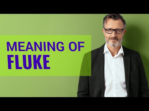 Fluke | Definition of fluke