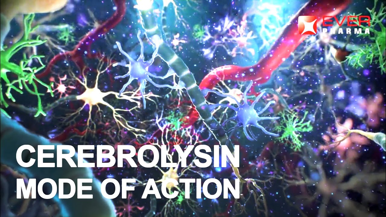Understanding Cerebrolysin: Mechanisms and Benefits in Brain Injury ...
