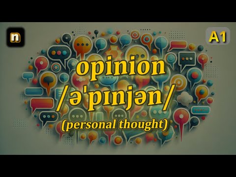 [n] Opinion meaning (personal thought) with 5 examples