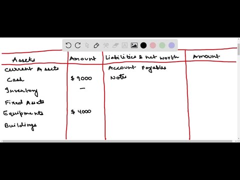 Next, construct the balance sheet for EconDisaster. com for December 31,2008 . The company had no a…