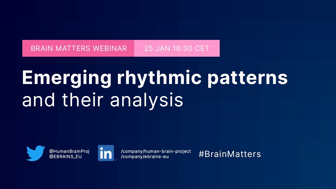 Brain Matters #8 - Emerging rhythmic patterns and their analysis