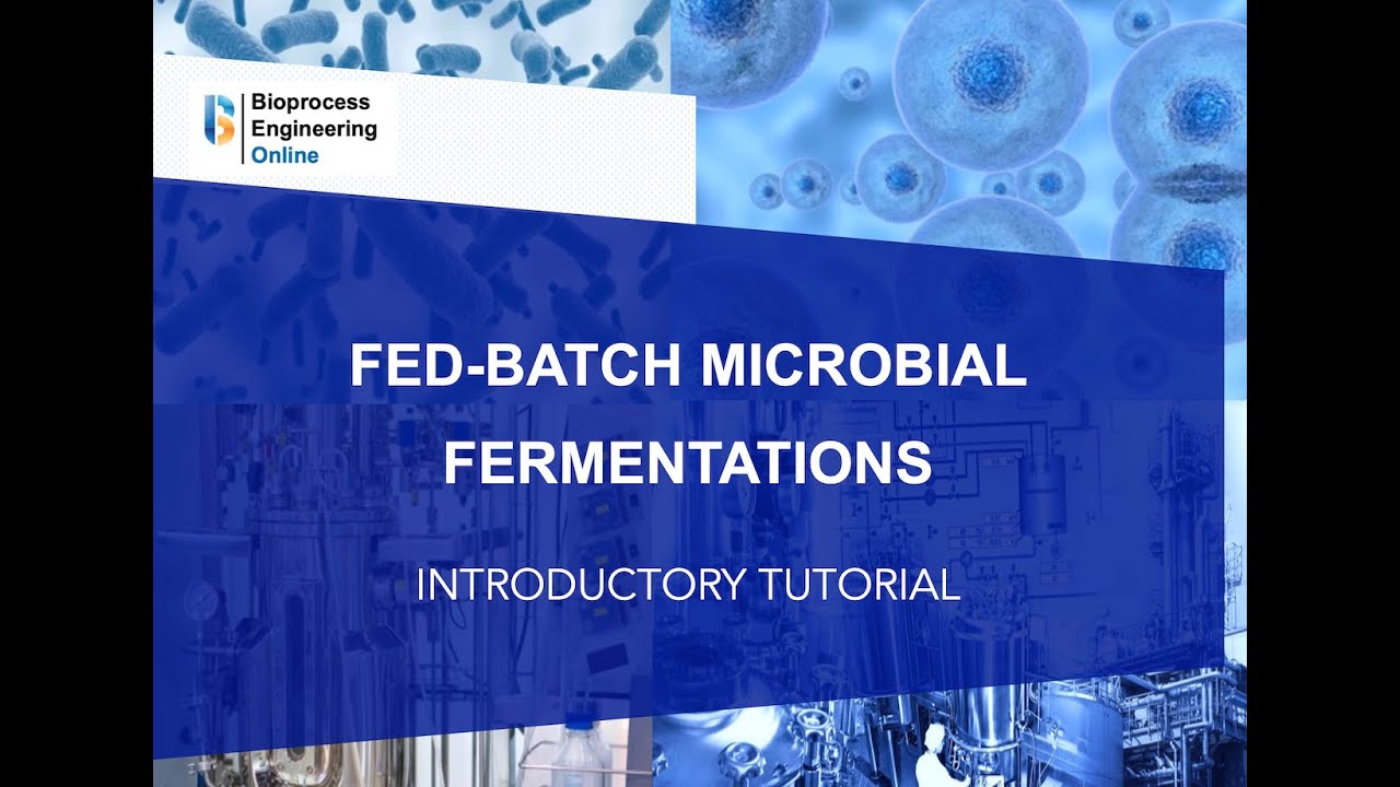 Fed-batch microbial fermentations