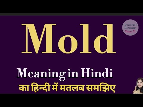 Mold meaning l meaning of mold l mold ka matlab Hindi mein kya hota hai l vocabulary