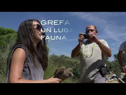 GREFA - Acerca de Grefa