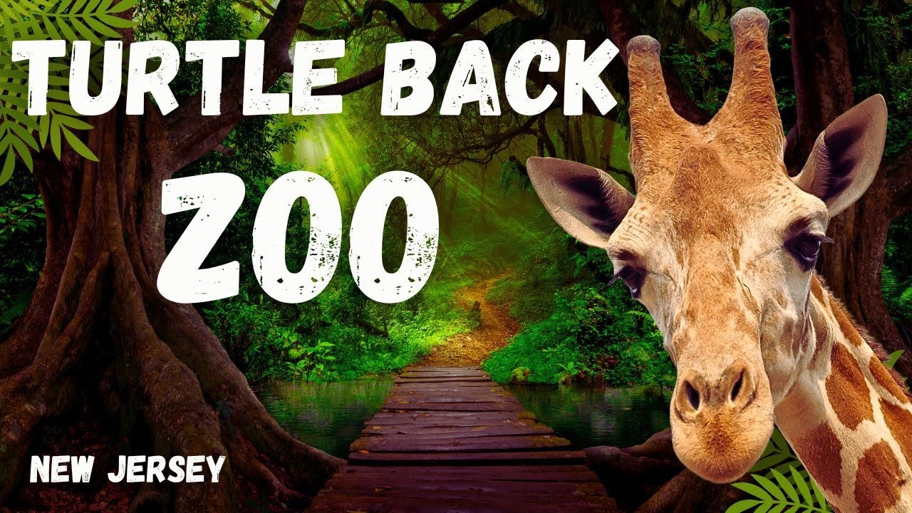 Turtle Back Zoo Tour | Full Walkthrough & Amazing Animals