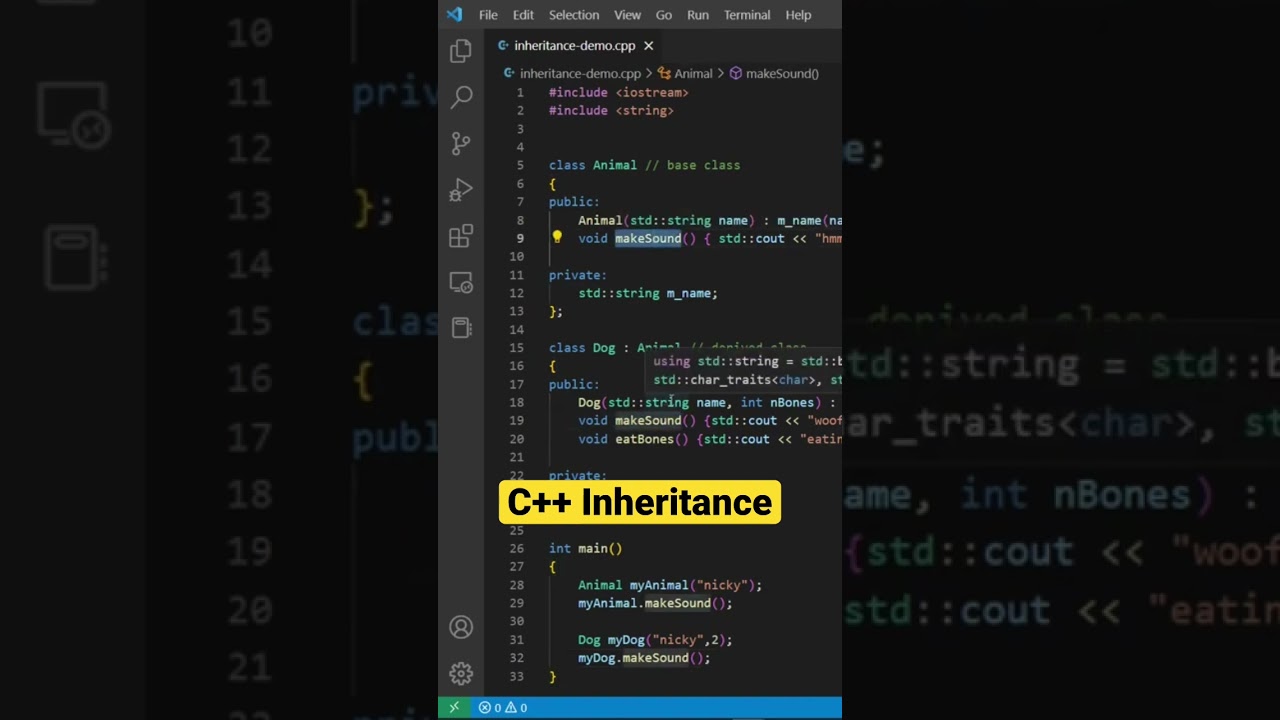 C++ Inheritance