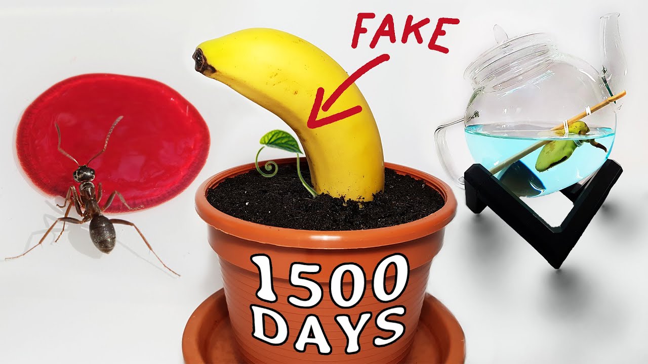 1500 DAYS WASTED! - All my failed time lapses