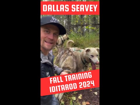 IDITAROD 2024 TRAINING! FALL TRAINING RUN
