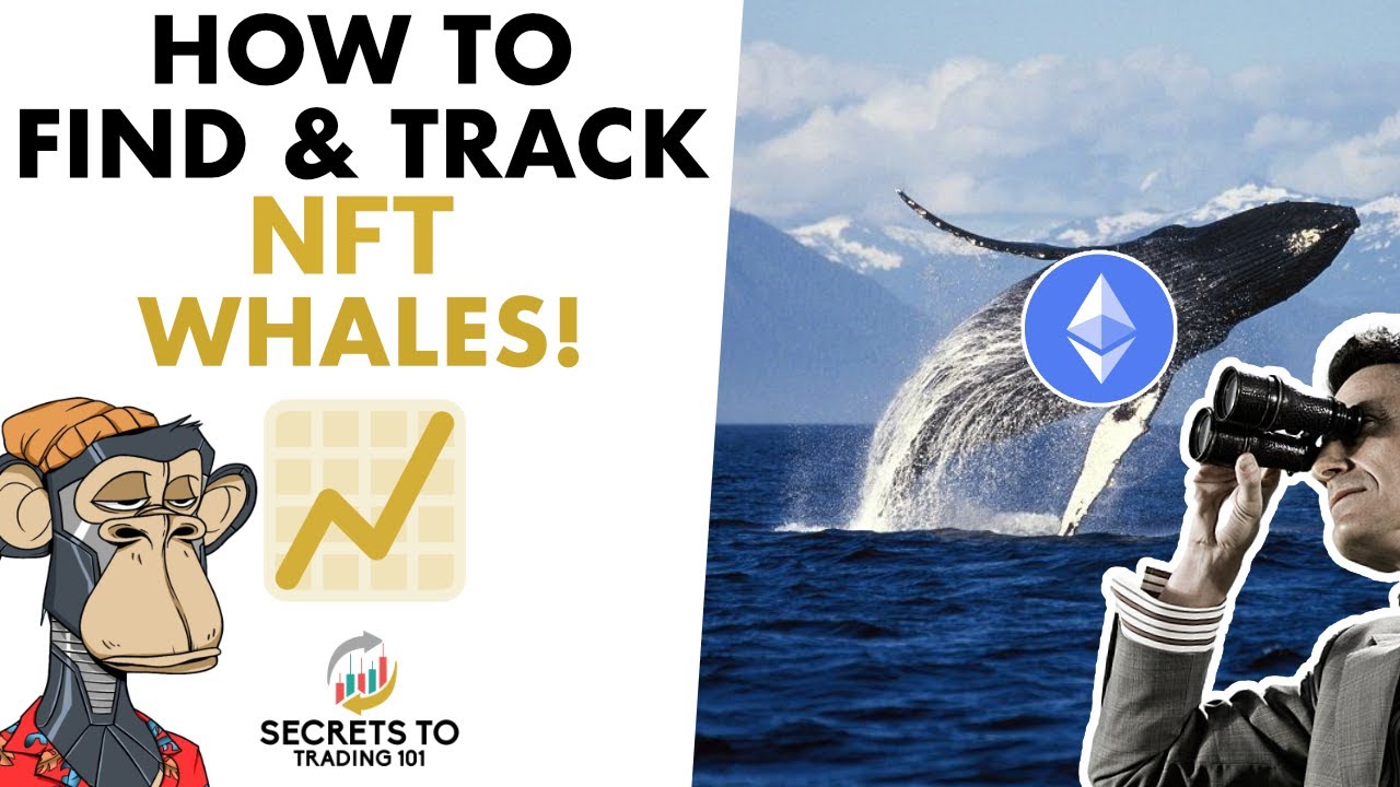 How to Find & Track NFT Whale Wallets | 101 guide to NFT Whale Watching