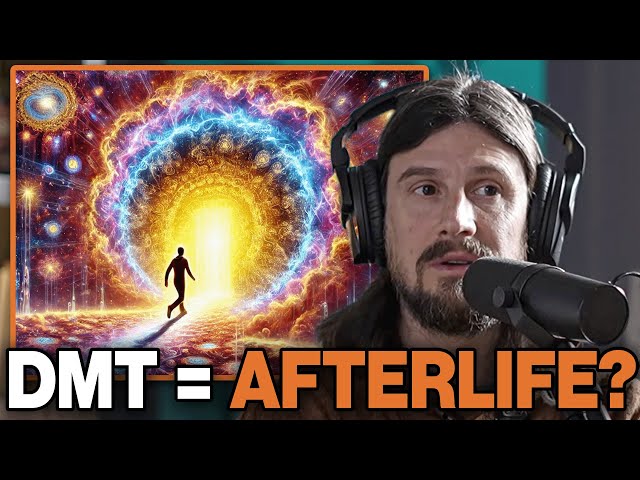 Exploring Near-Death Experiences and DMT: Insights from Zoltan Bathory ...