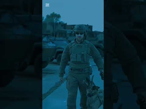 #k9 #dog # tactical #dogtraining #trending # dogsoftiktok
