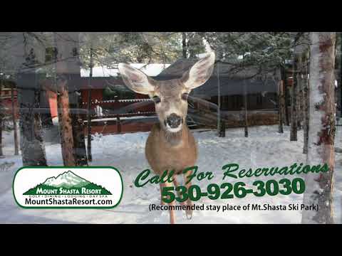 Mount Shasta Resort