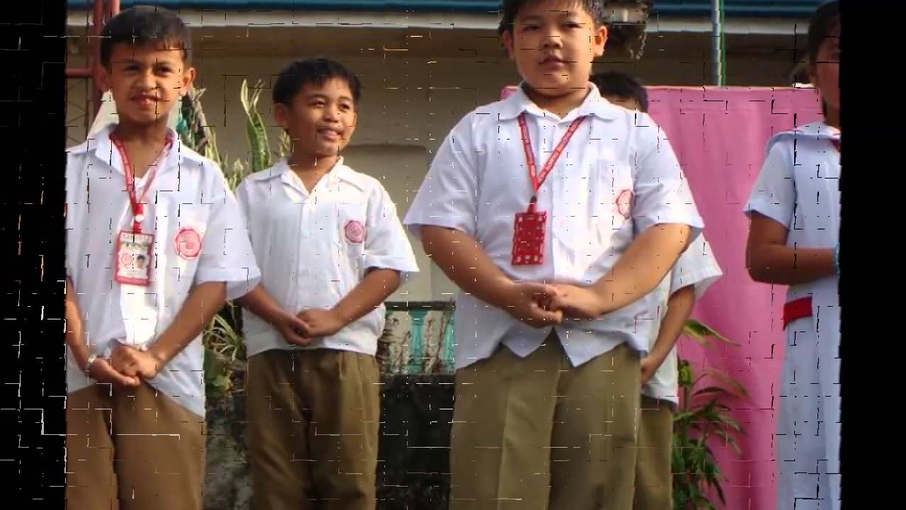 my video