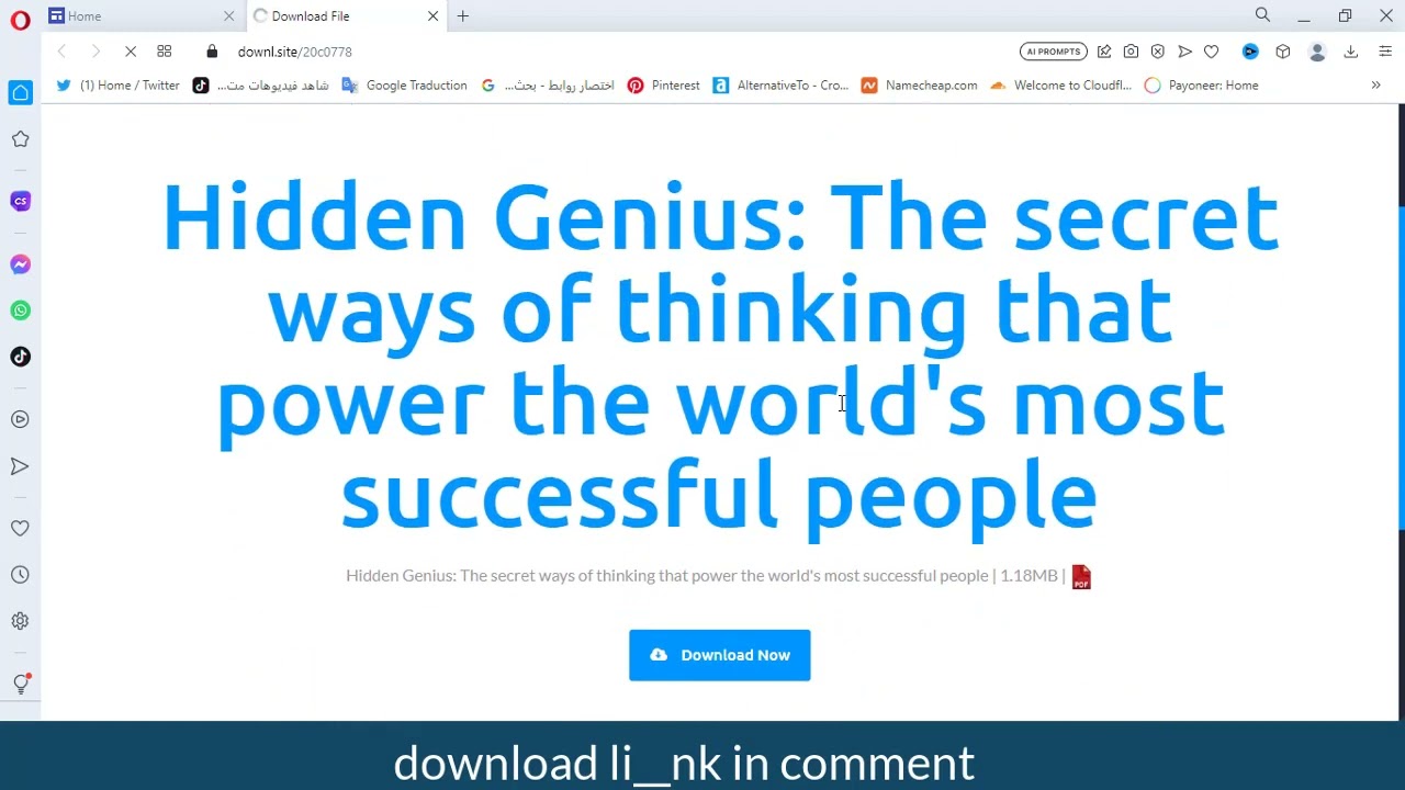 Hidden Genius: The secret ways pdf 2023