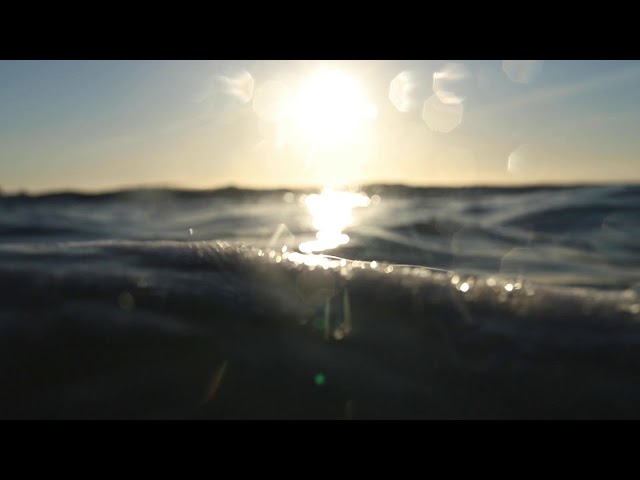 Chill Sea Sessions - Chill Cold Water Solution