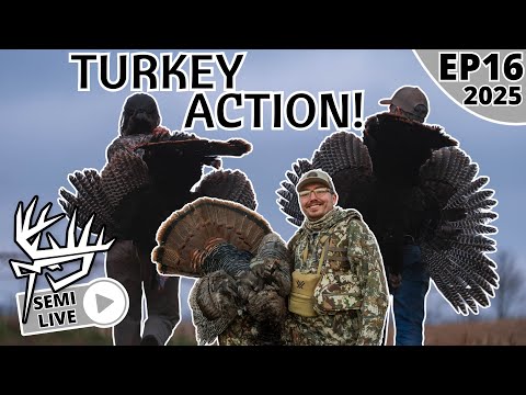 Michigan Turkey Hunting | INSANE DOUBLE | Wisconsin Turkey HUNT