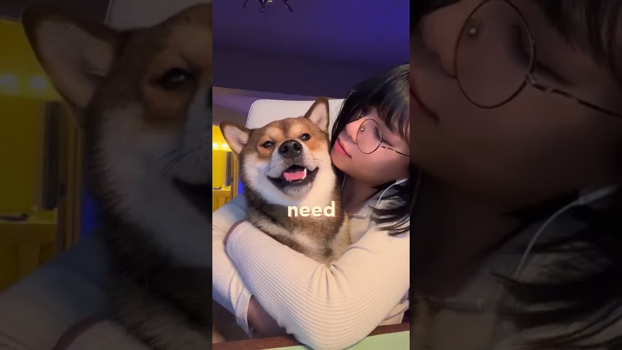 Every programmers 3 personalities #programmerhumor #computerscience