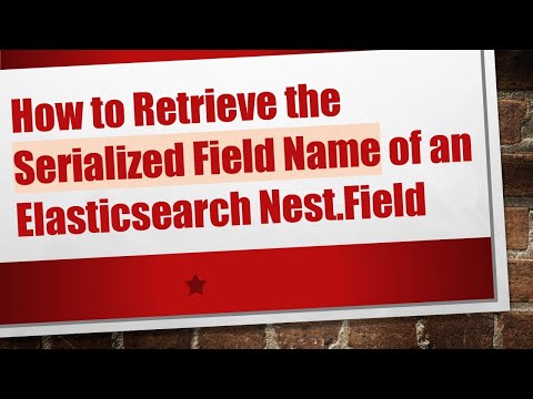 How to Retrieve the Serialized Field Name of an Elasticsearch Nest.Field