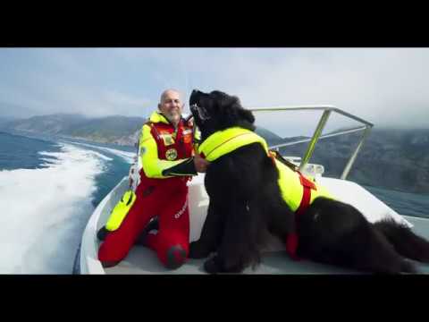 Superpower Dogs 3D coming soon… – Smarter, Not Harder