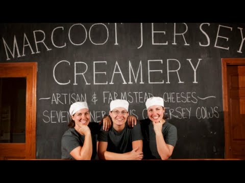 Virtual Farm Tour to an Illinois Dairy