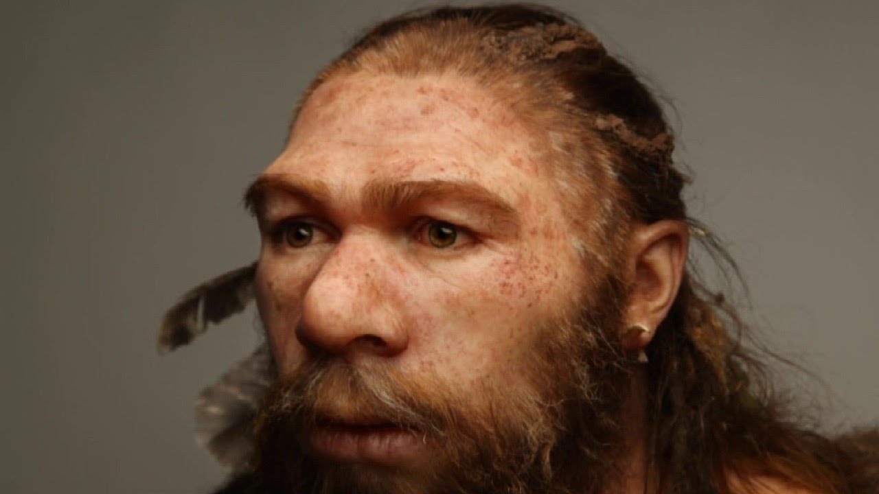 Sciences - Nouveau genre d’espèce humaine