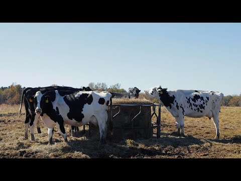 Keeping Faith: Donacin Dairy