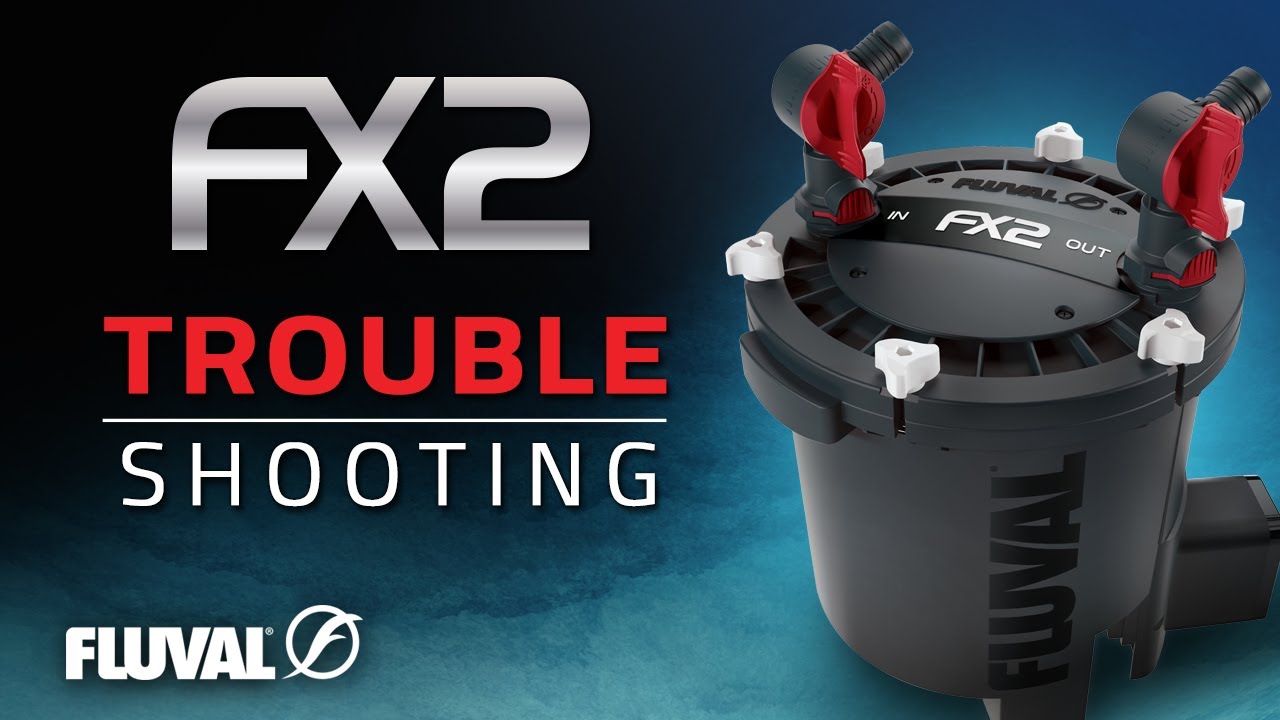 Fluval FX2 Canister Filter | Troubleshooting Tips
