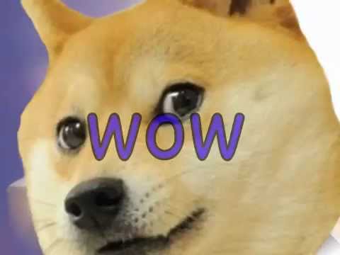 Steam Community :: Video :: Take that Doge