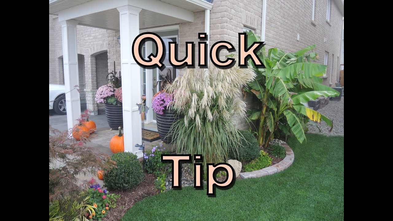 Ornamental Grass Care - Easy Spring Clean Up!