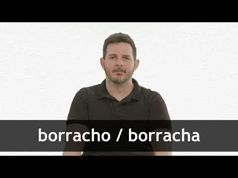 English Translation of “BORRACHO” | Collins Spanish-English Dictionary