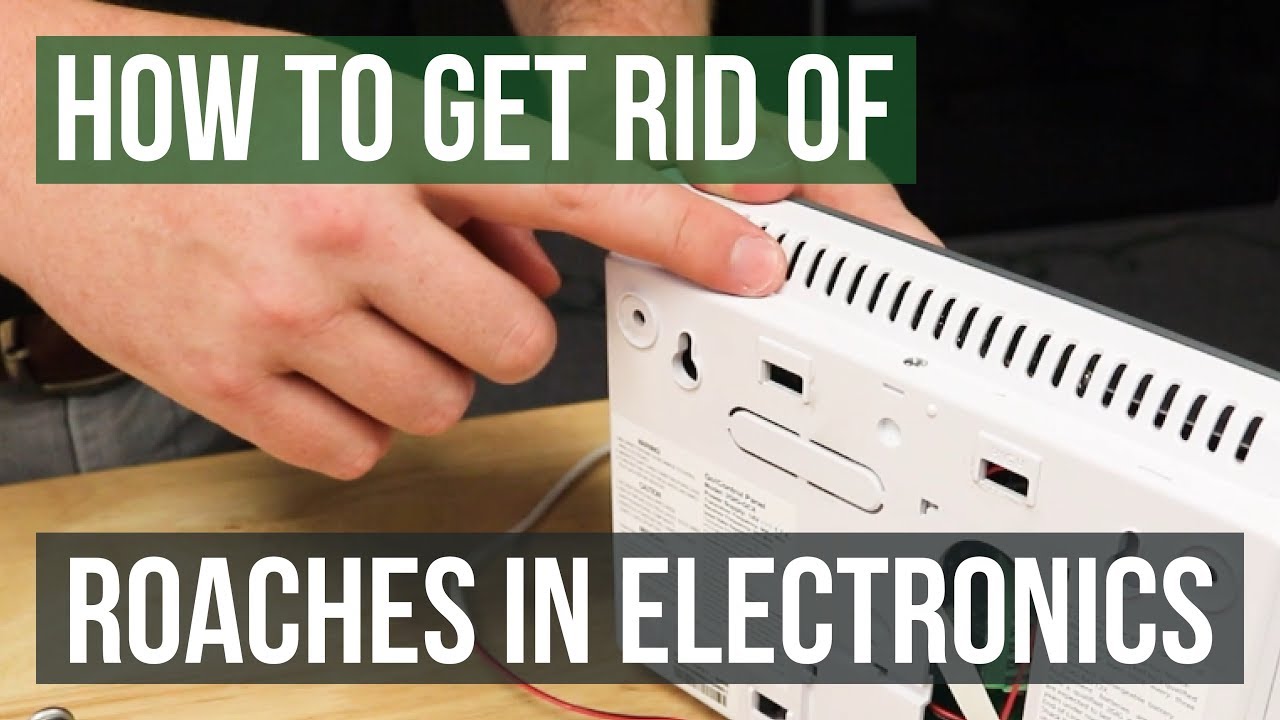 Cockroaches in your Electronics? Save Your Gadgets With These Tips