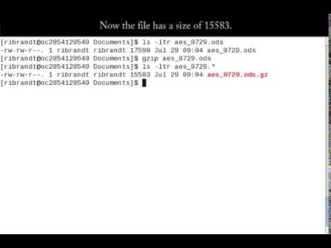 Linux Command (Gzip)