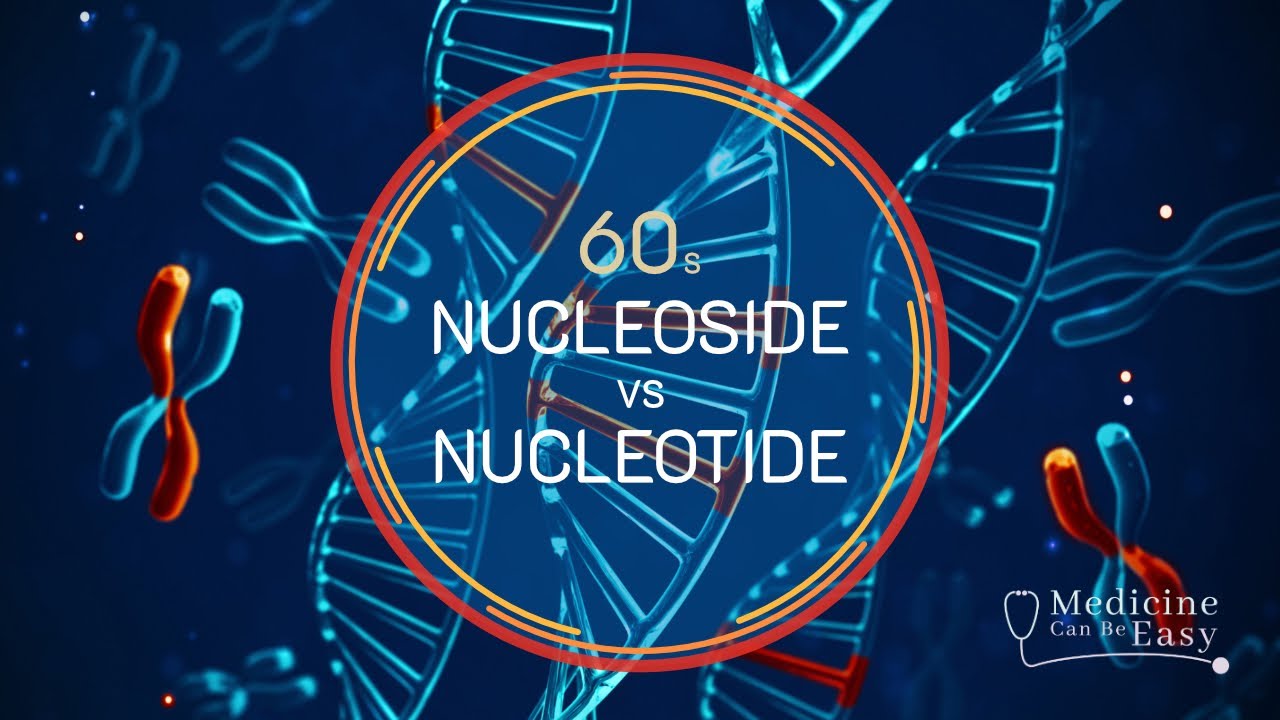 Genetics in 60 seconds: Nucleoside vs Nucleotide