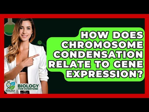 How Does Chromosome Condensation Relate To Gene Expression? - Biology For Everyone