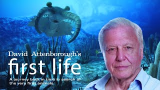 First Life with David Attenborough - Ep 2 Conquest (2010)