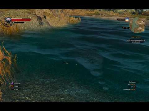 Steam Community :: Video :: The Witcher 3 Water Physics